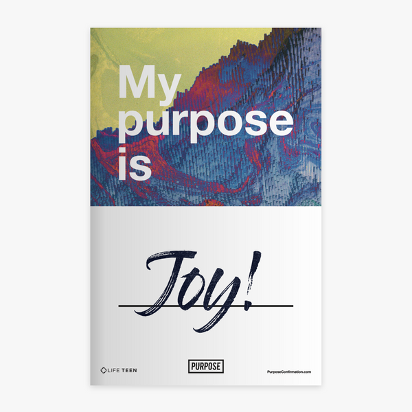 Purpose Poster Set – Shop Life Teen